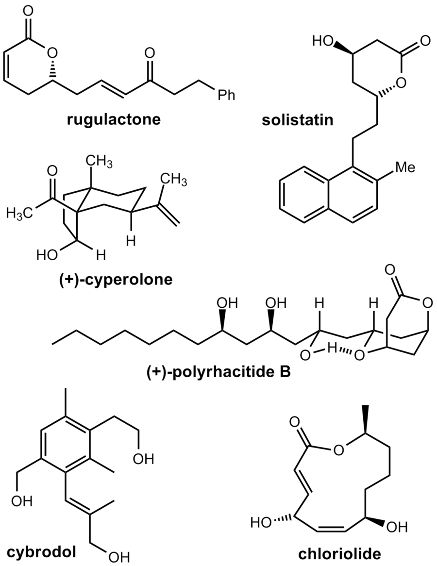 Completed Total Synthesis